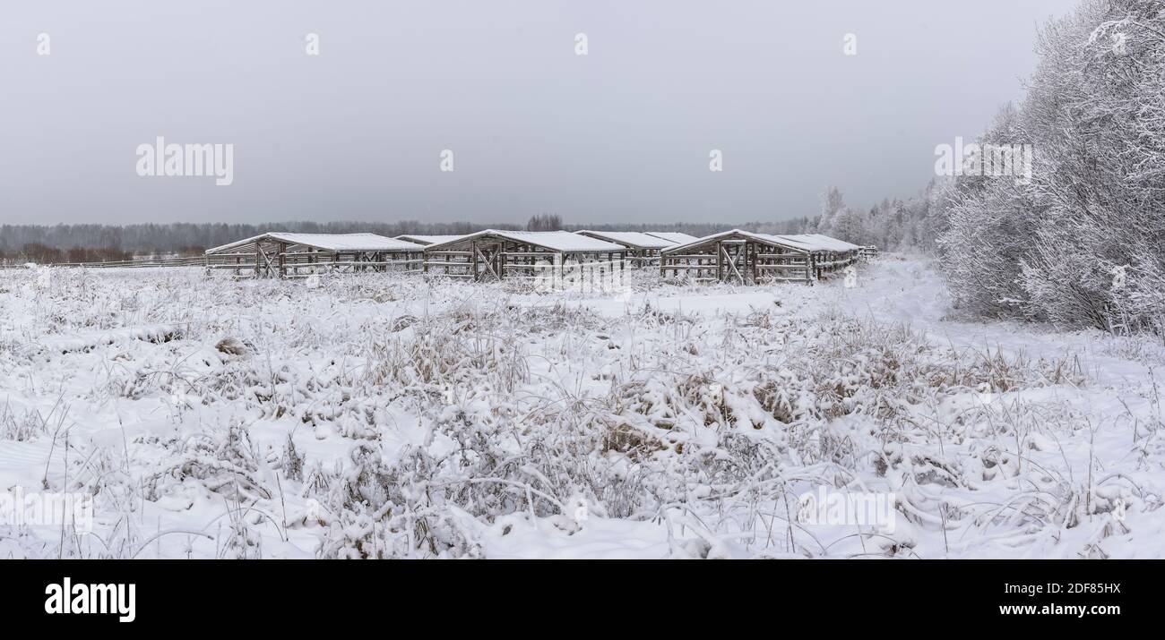 Winter landscape in the countryside with trees and houses after heavy ...