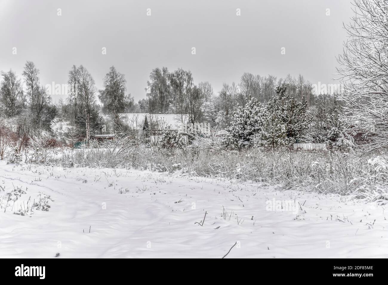 Winter landscape in the countryside with trees and houses after heavy ...