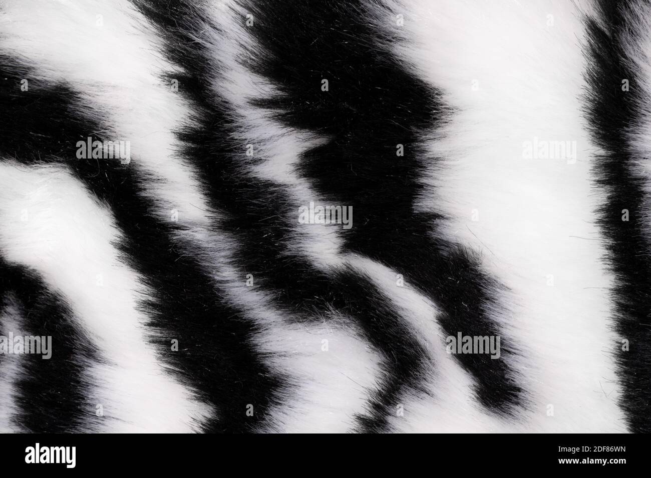 fur with black white stripes Stock Photo - Alamy