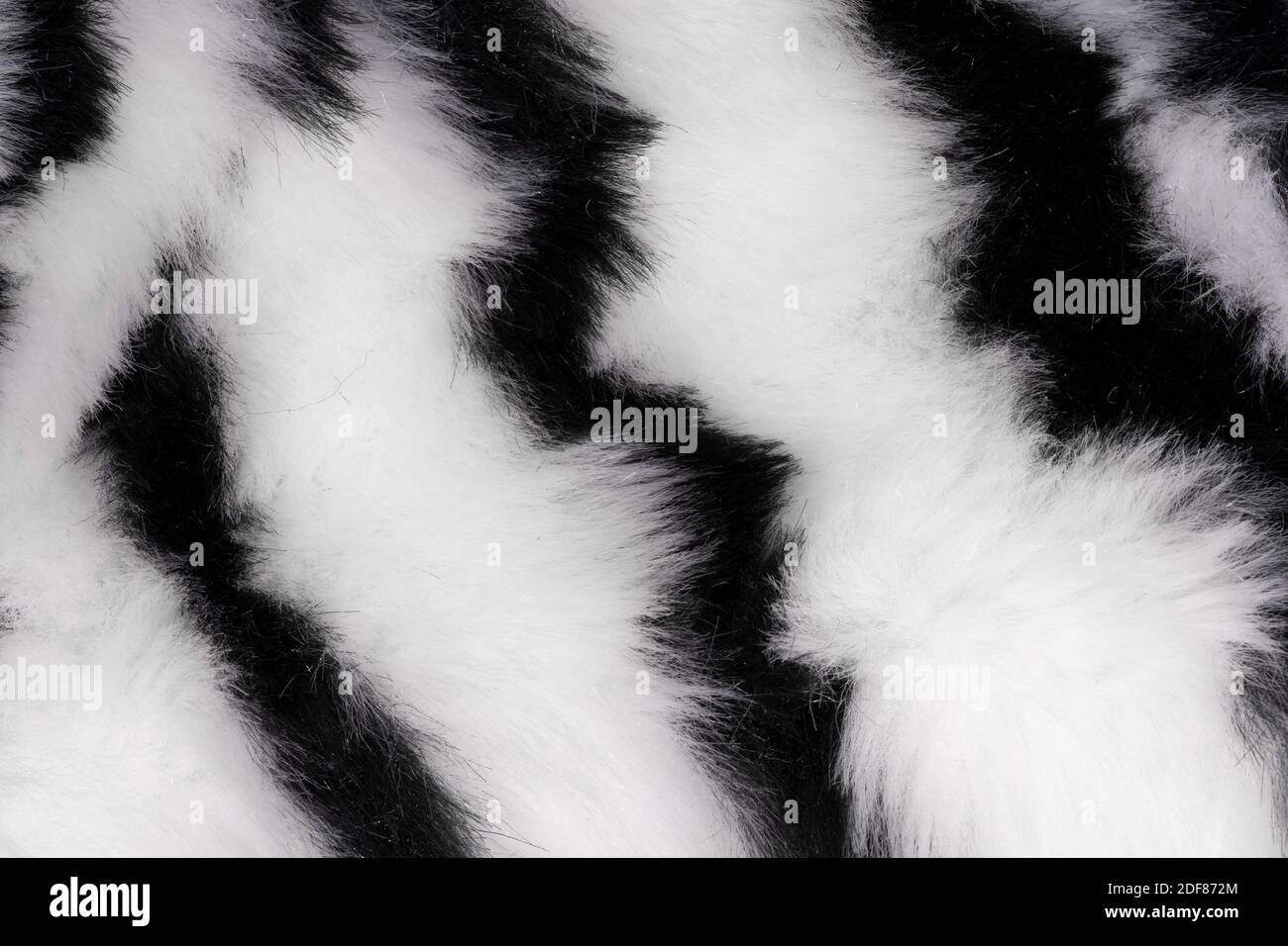 fur with black white stripes Stock Photo - Alamy