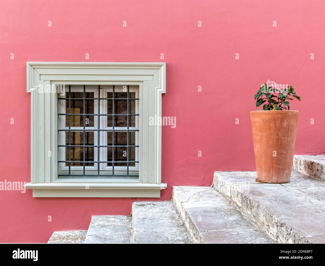 Street level window hi-res stock photography and images - Alamy