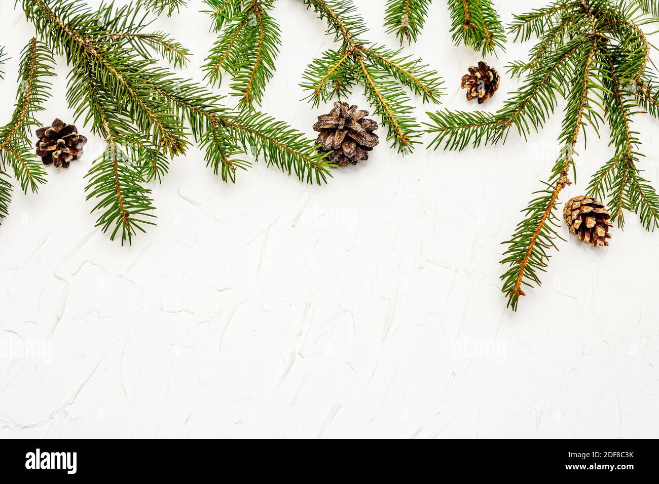 Christmas tree branches with pine cones on white putty background. New ...