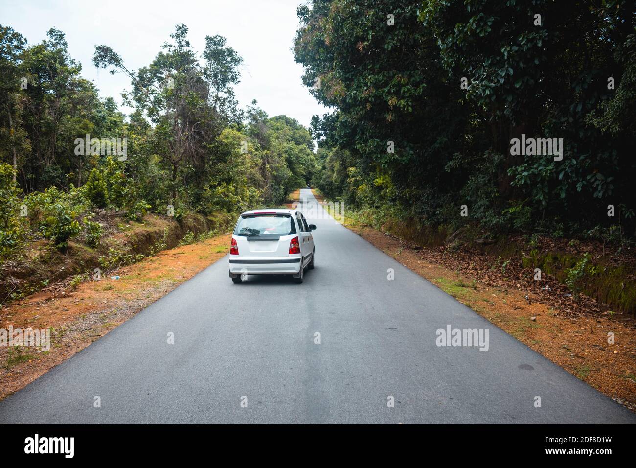 A small car on an asphalt road through the forest Stock Photo - Alamy