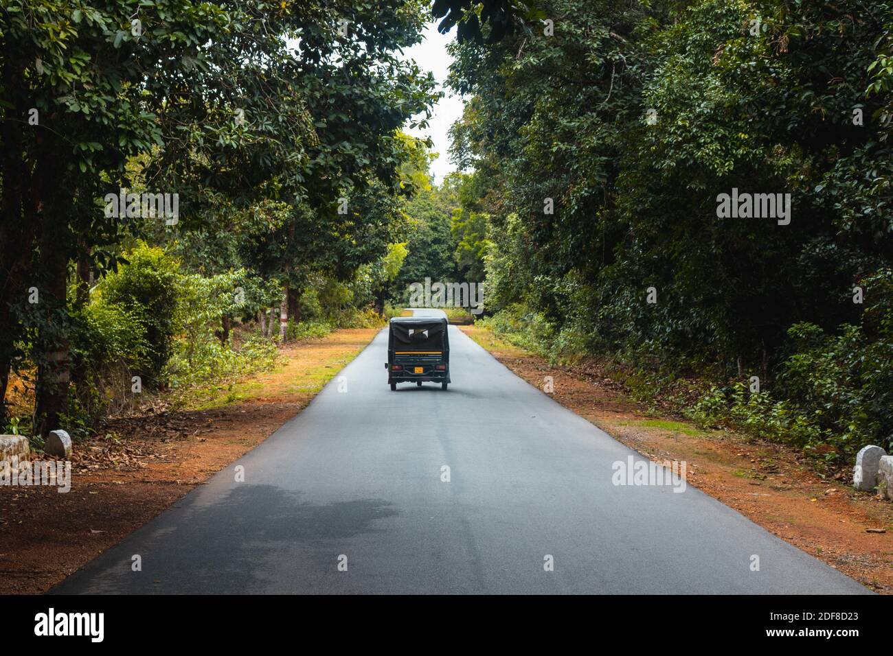 A small car on an asphalt road through the forest Stock Photo - Alamy
