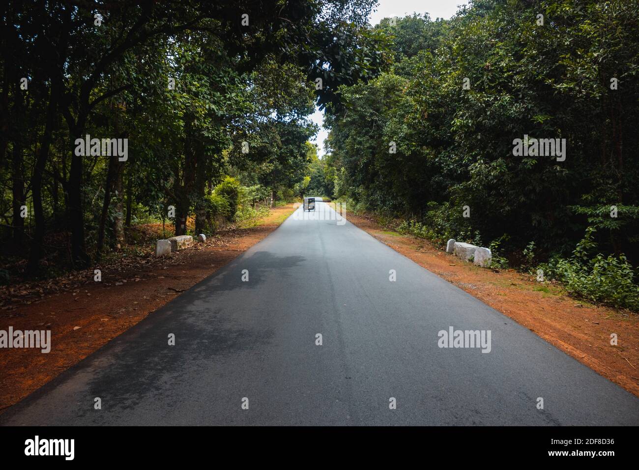 A narrow asphalt road through the park Stock Photo - Alamy