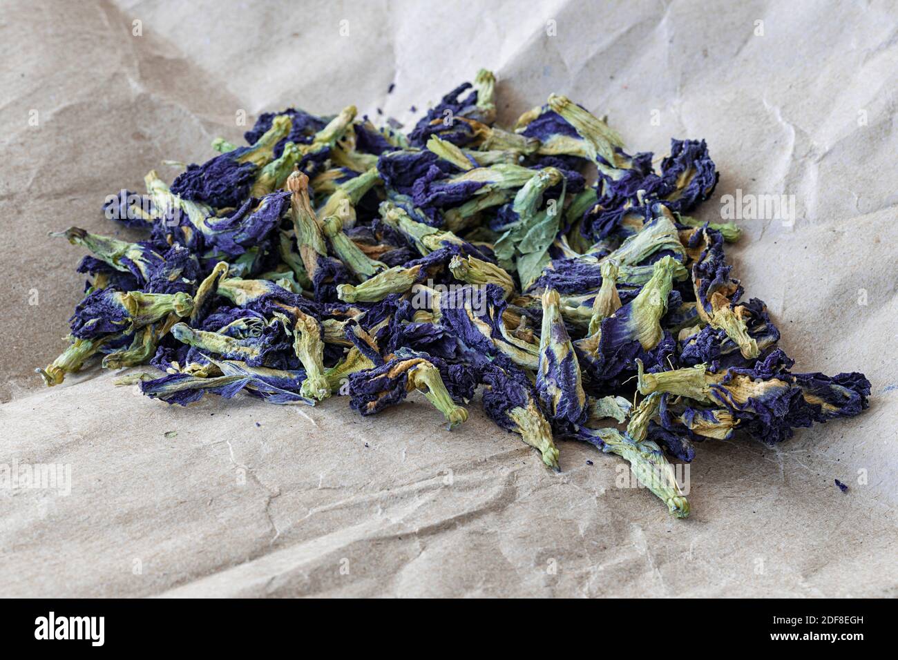 selective focus photo of anchan flower herbal blue tea Clitoria ...