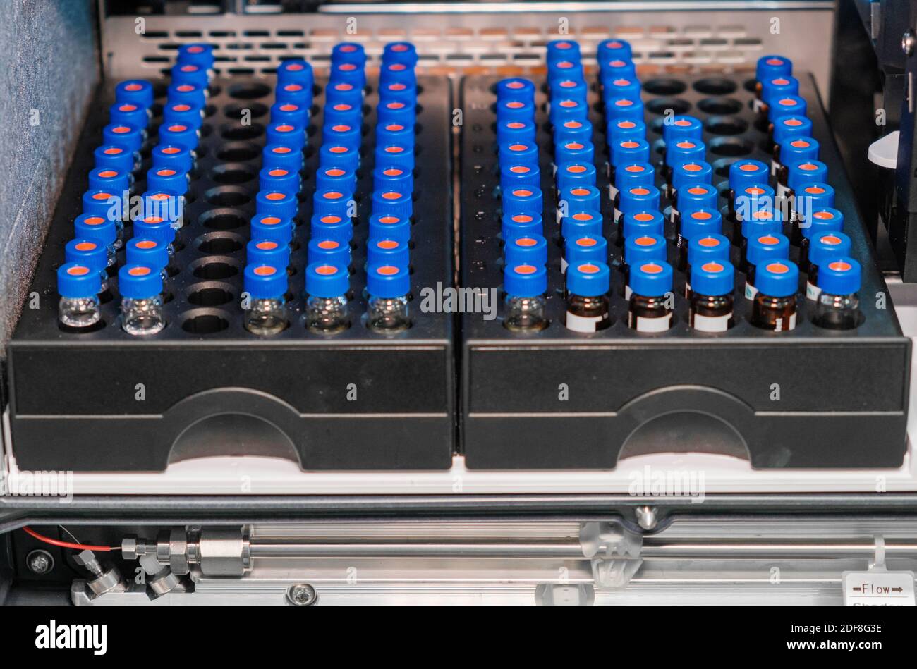 HPLC glass vials in the rack. Research and development of ...
