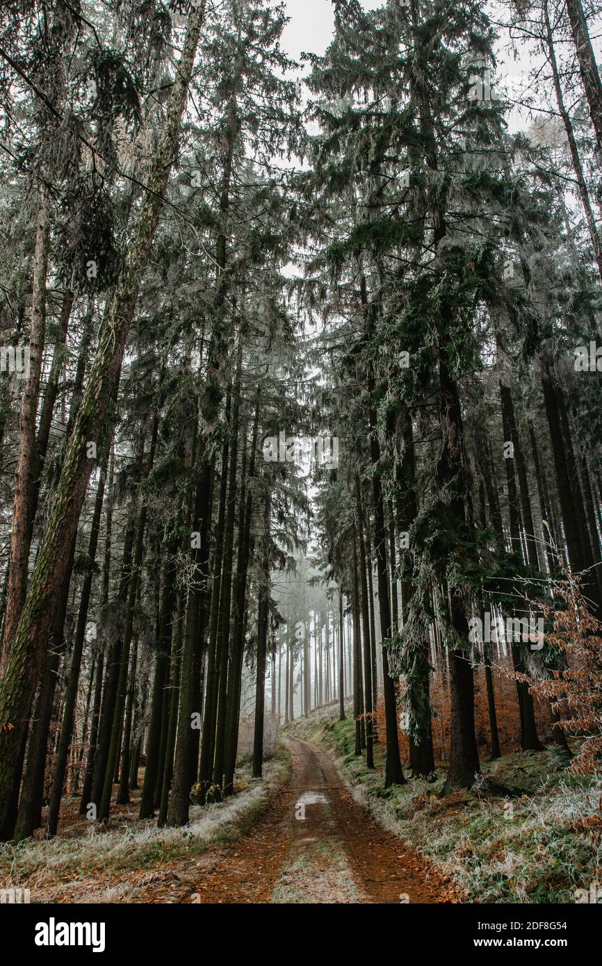 Cold climate scenery hi-res stock photography and images - Alamy