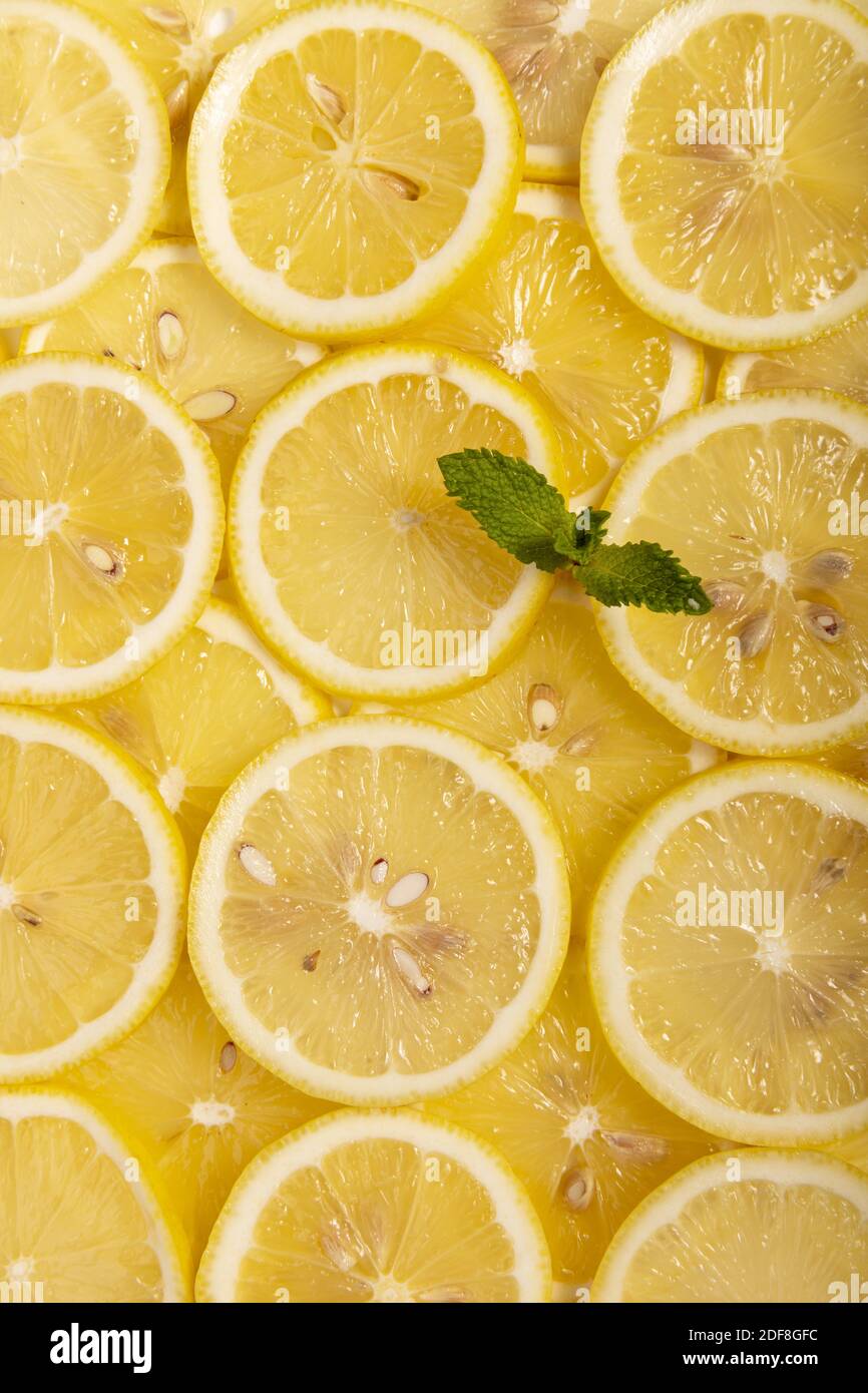 A vertical shot of slices of fresh lemon and mint leaves Stock Photo ...