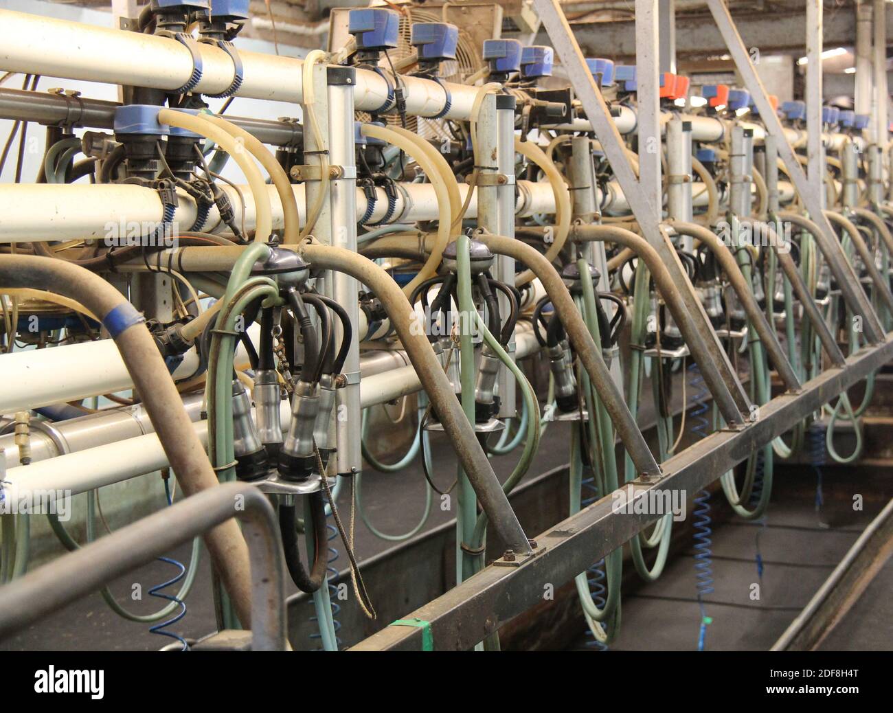 Milking device hi-res stock photography and images - Alamy
