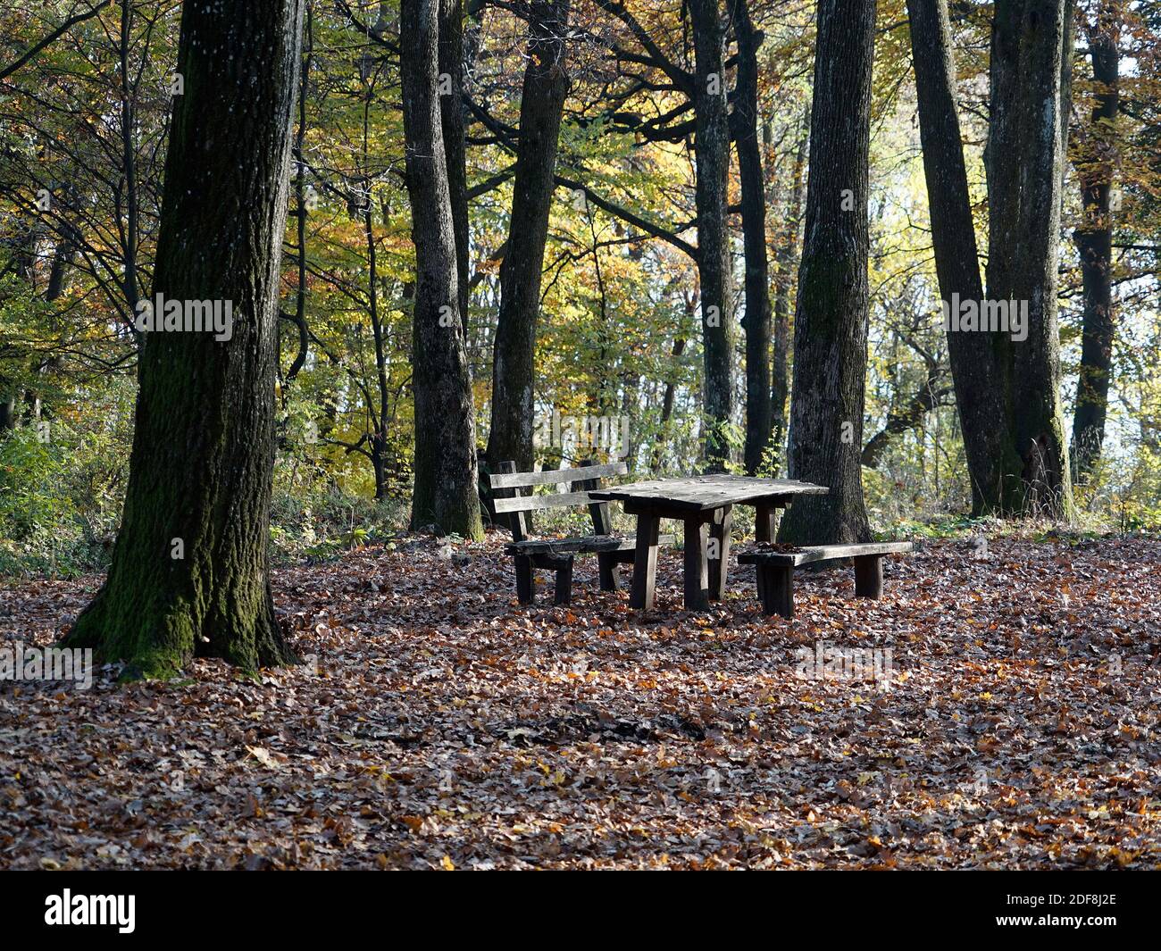 A picnic place in a forest in autumn - table and benches Stock Photo ...
