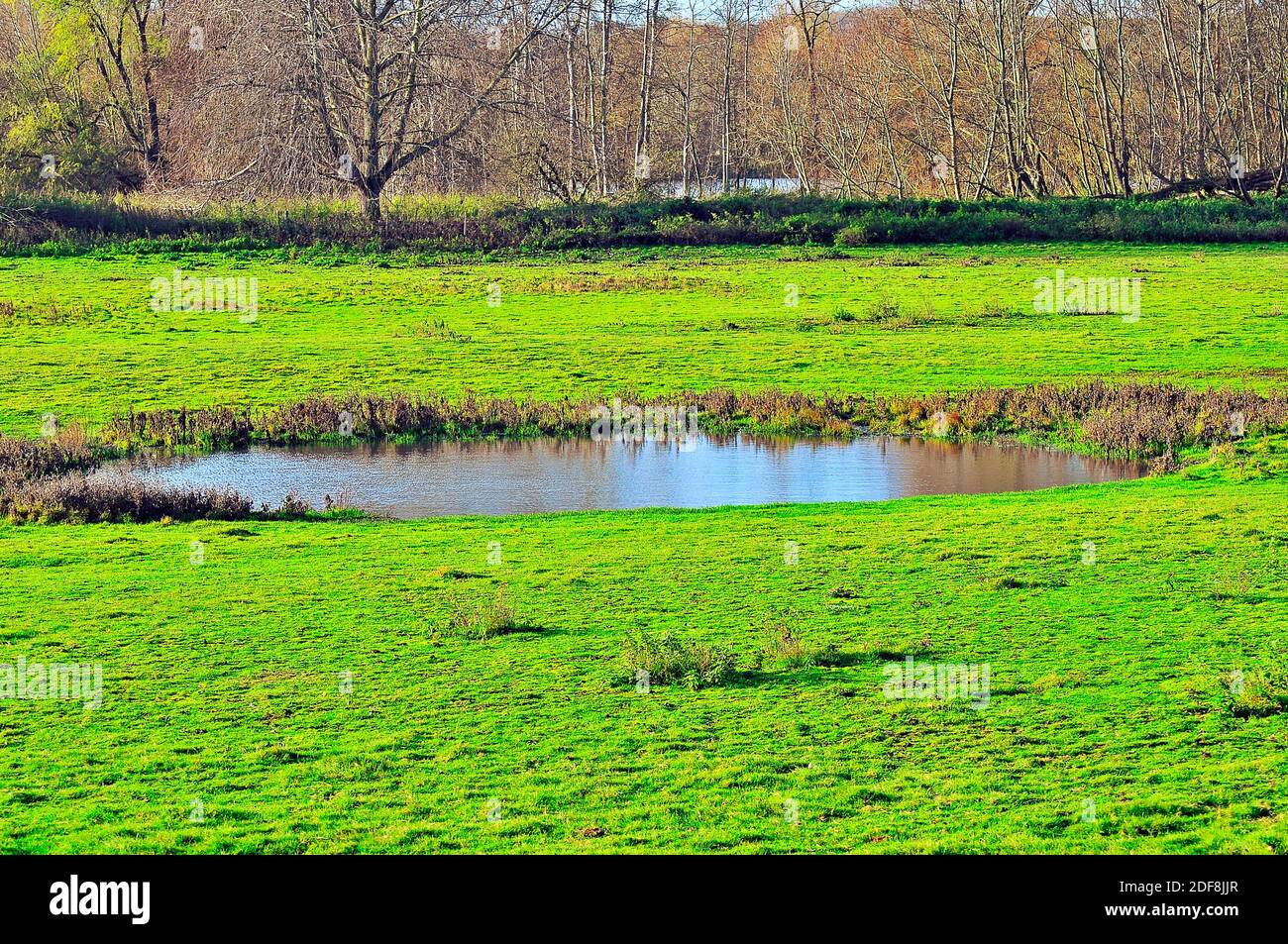 Winter scenery with sunshine, trees and a lake at a park Stock Photo ...