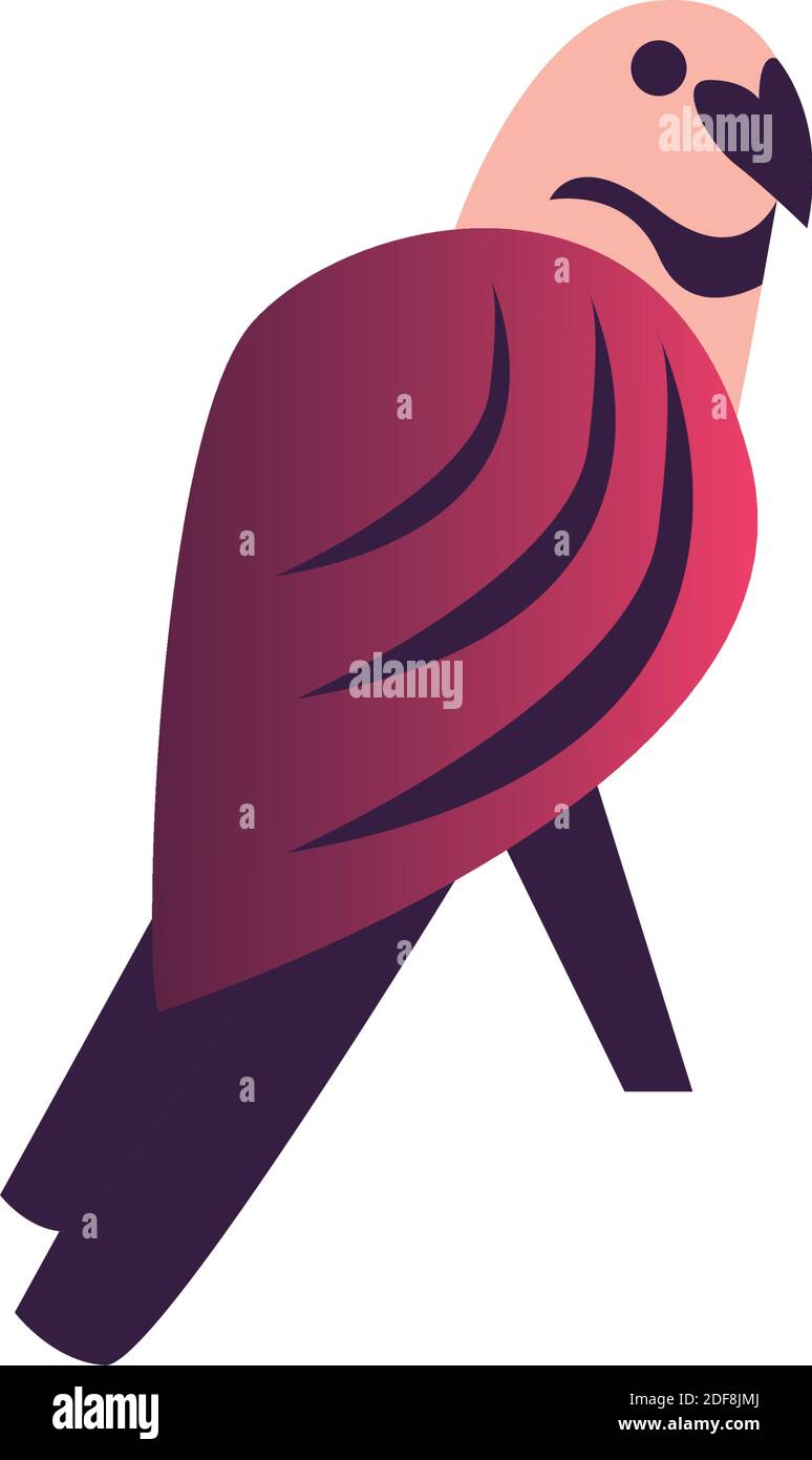 parrot bird abstract icon design, Animal feather predator wildlife ...