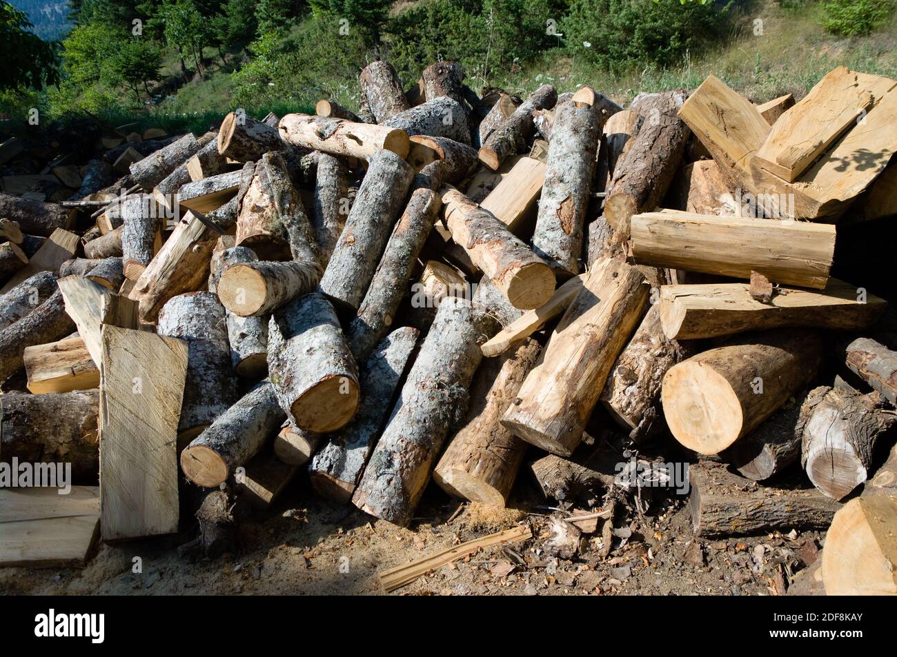 Large logs of firewood piled up at random, without order Stock Photo ...