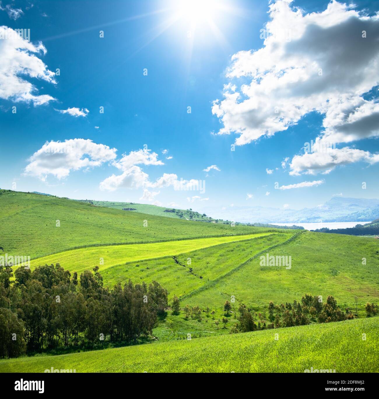 Sunshine sunlight sunny bright vegetation trees hi-res stock ...