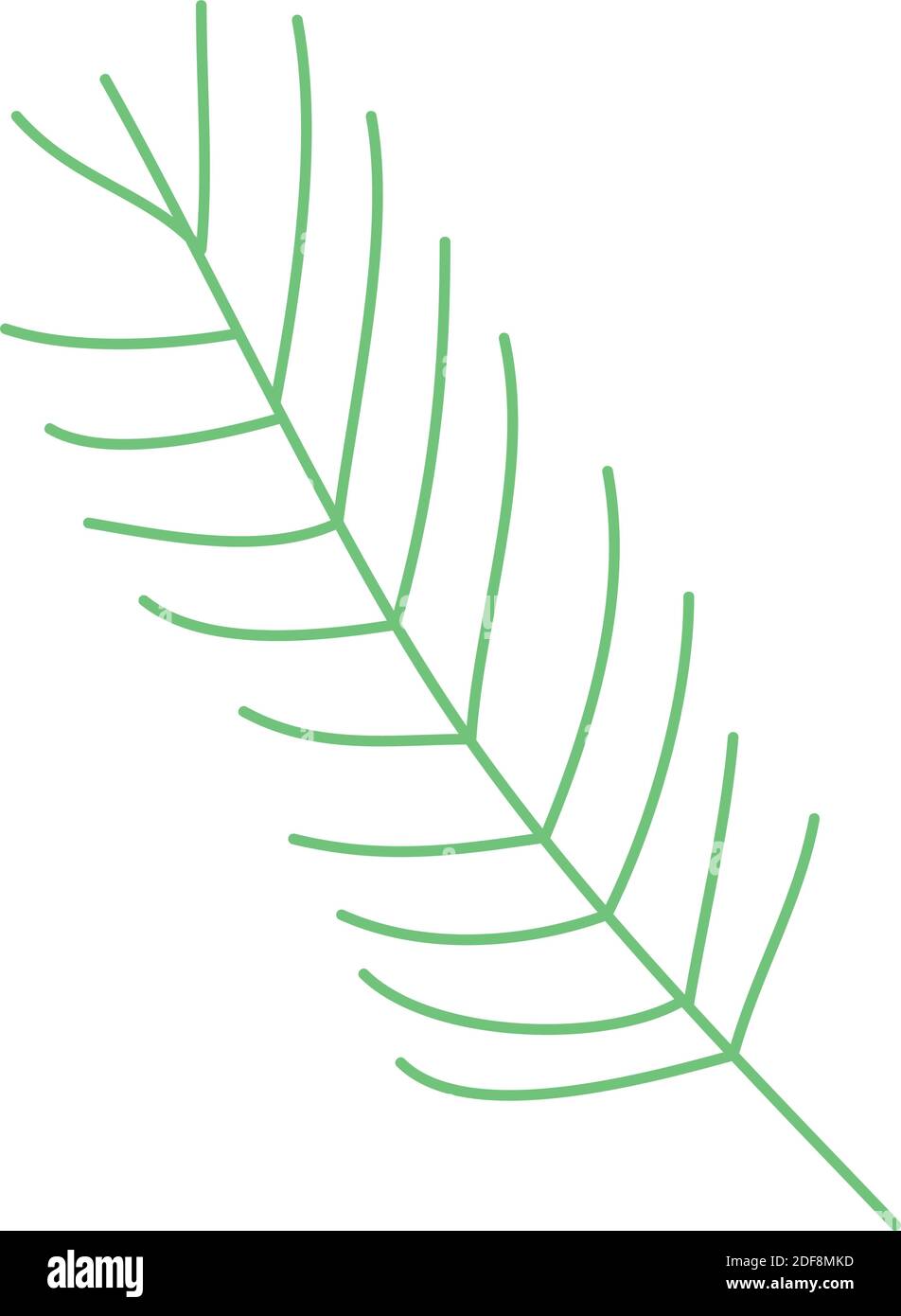 pines leaf design of Natural floral and plant theme Vector illustration ...