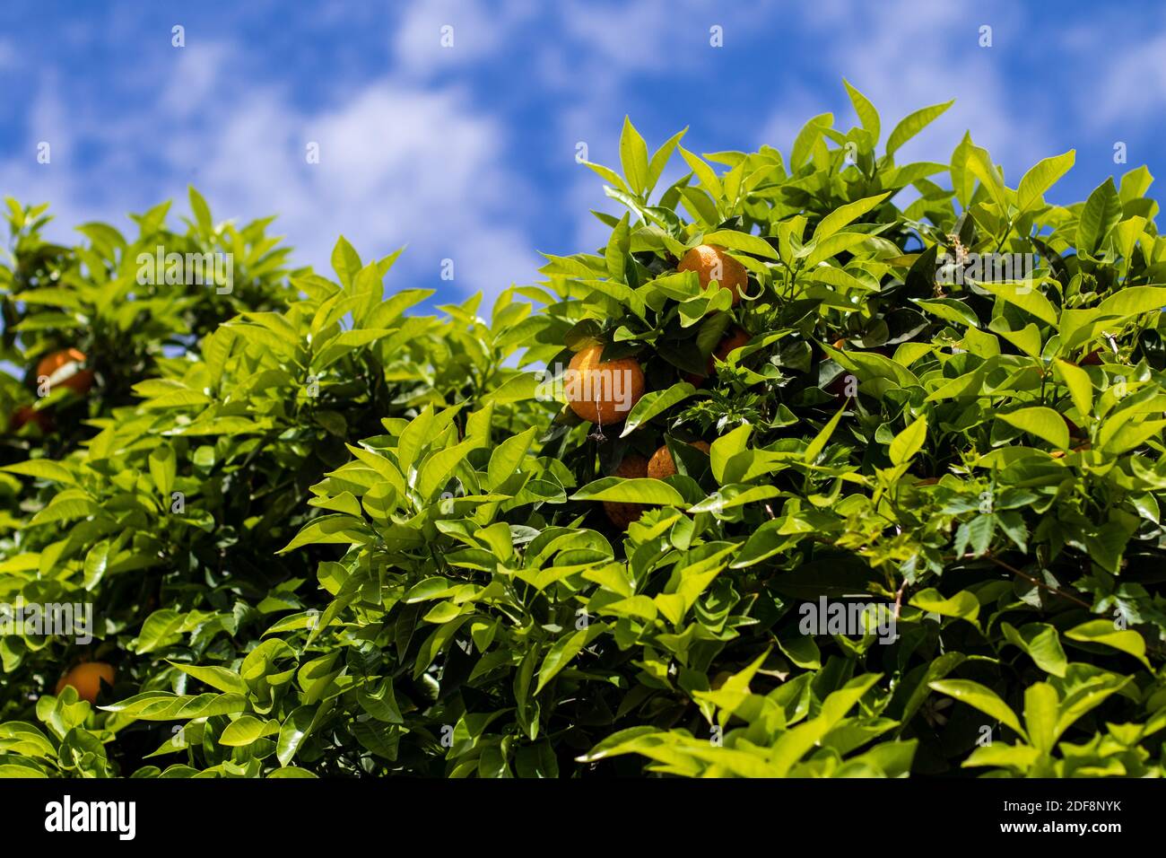 Blue sky orange hi-res stock photography and images - Alamy