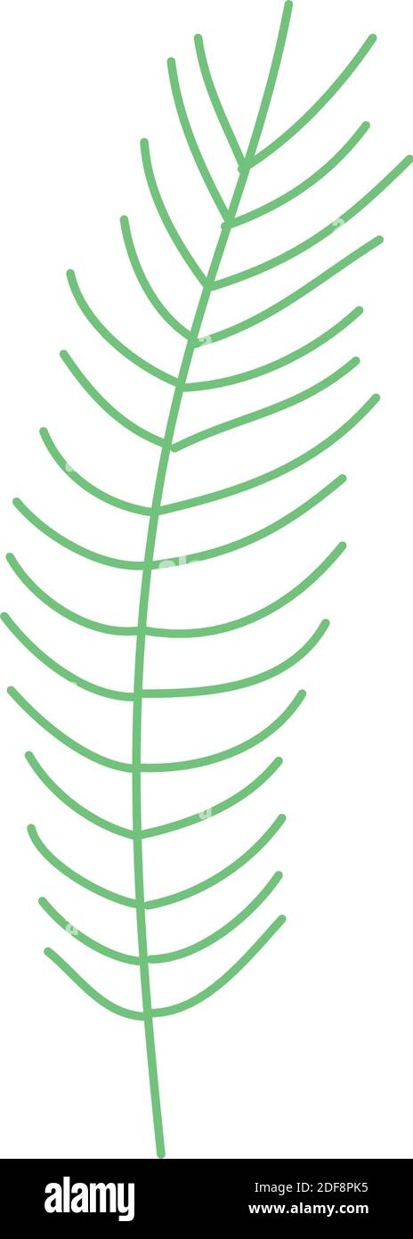 leaf of pine design of Natural floral and plant theme Vector ...