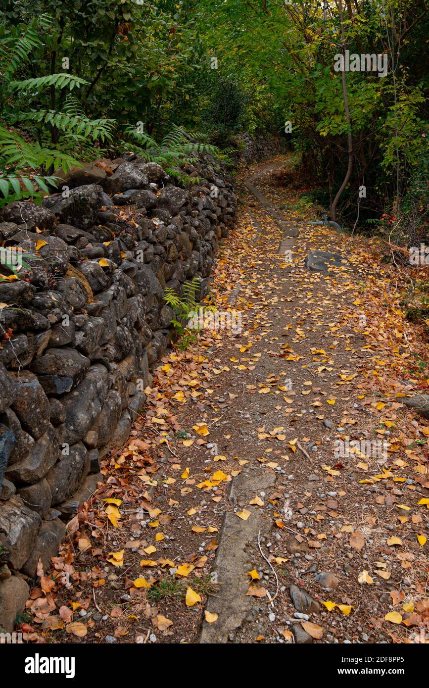 Autumn landscape hiking walking path in fall season Stock Photo - Alamy