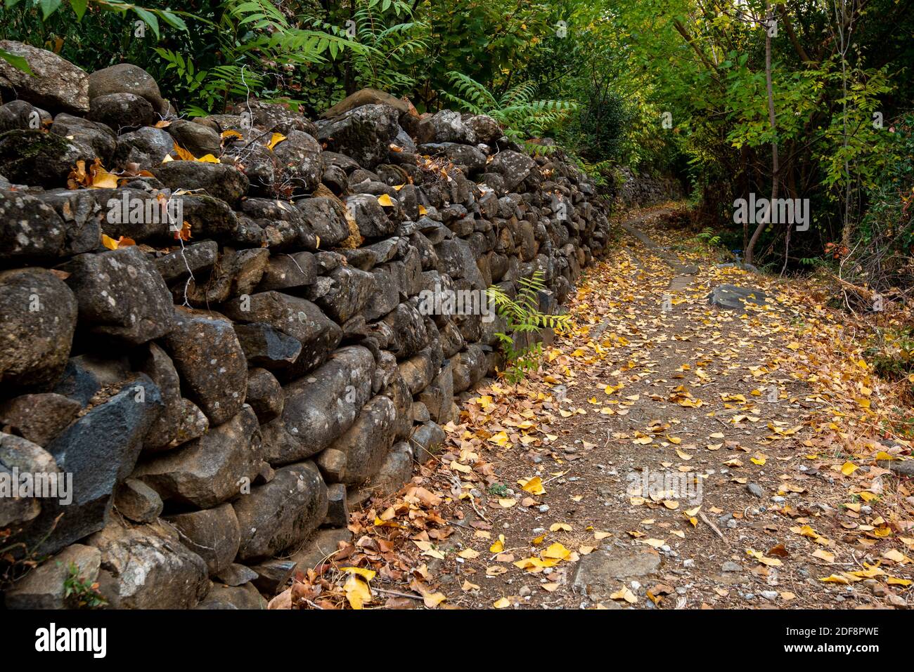 Autumn landscape hiking walking path in fall season Stock Photo - Alamy
