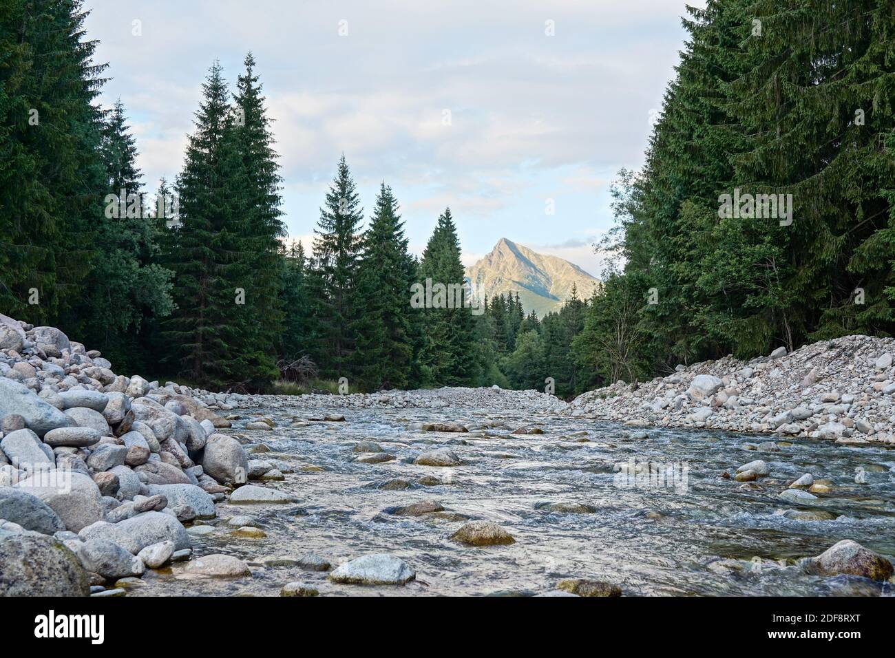Beautiful forest scenery shallow river hi-res stock photography and ...