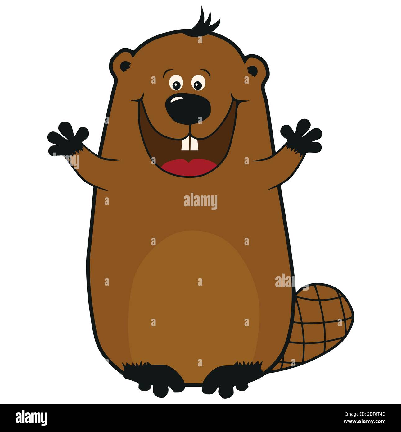 Beaver tail Cut Out Stock Images & Pictures - Alamy
