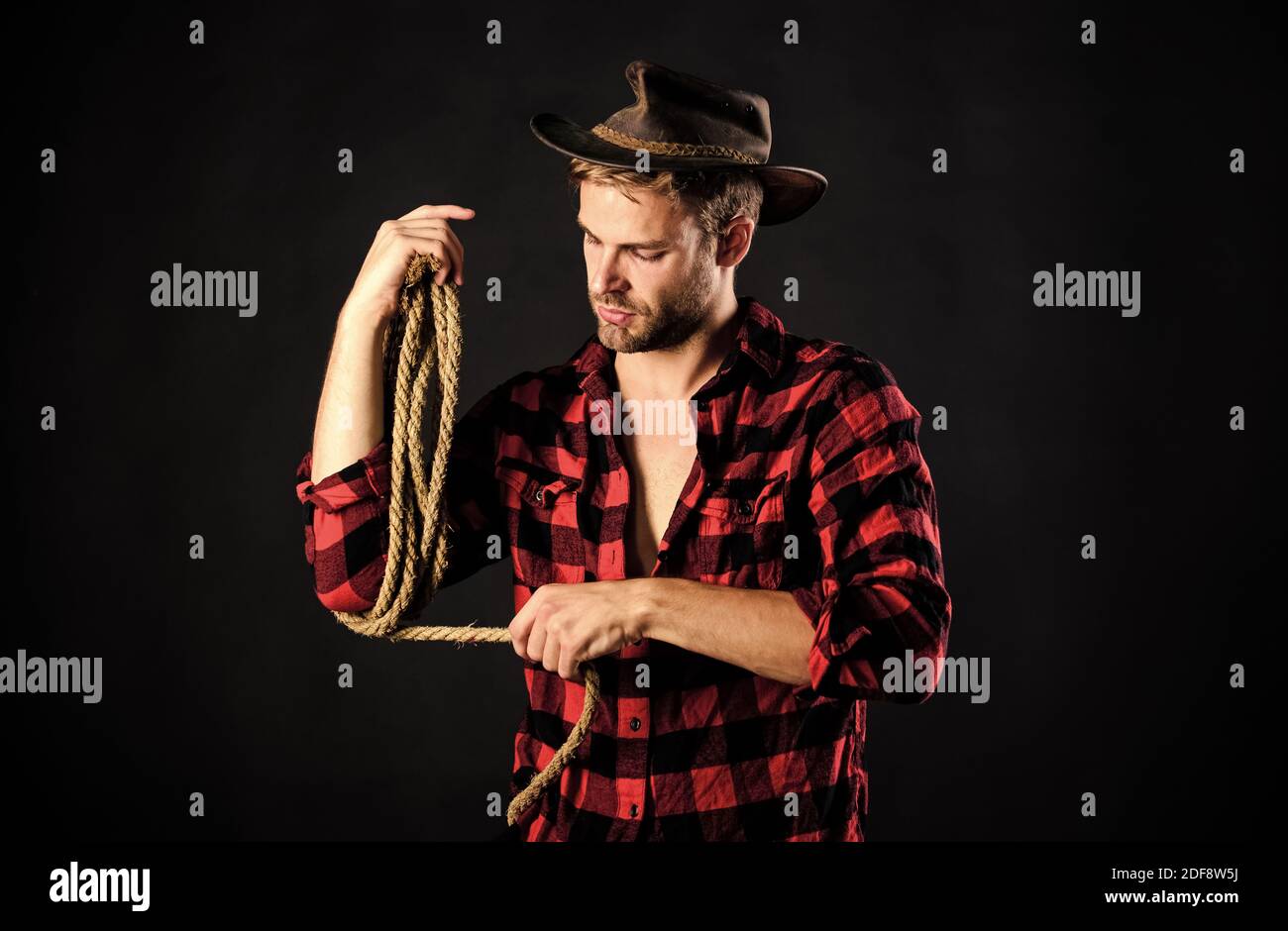 born roping. wild west rodeo. man in hat black background. cowboy with ...