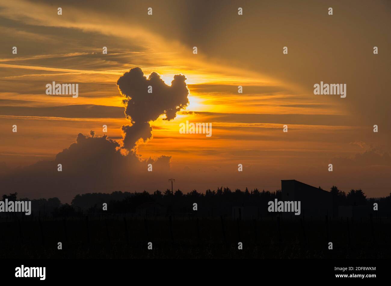 Unusual cloud formation at sunset in the shape of Aladdin's Genie or a ...