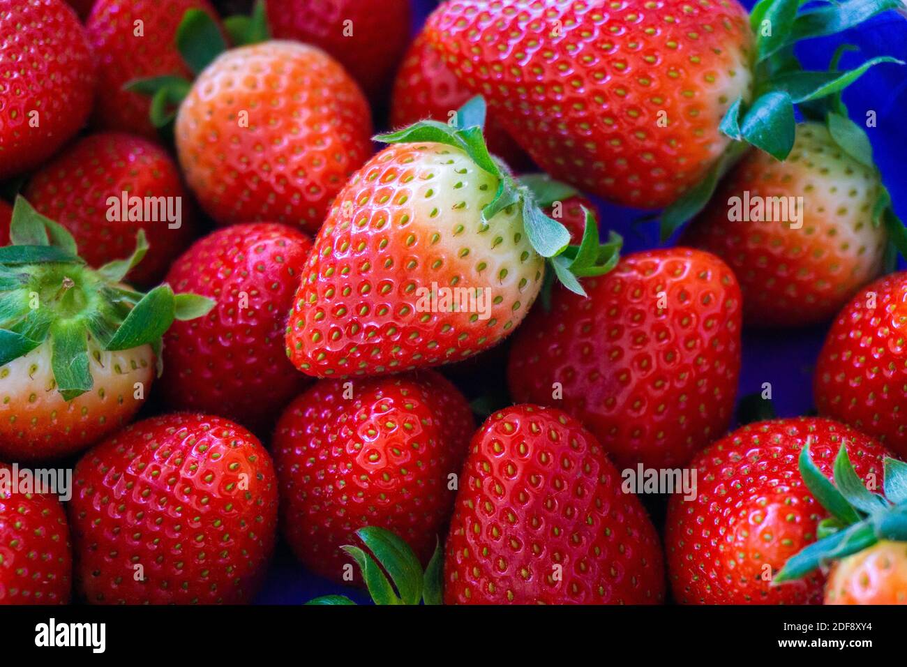 Strawberries with green tops hi-res stock photography and images - Alamy
