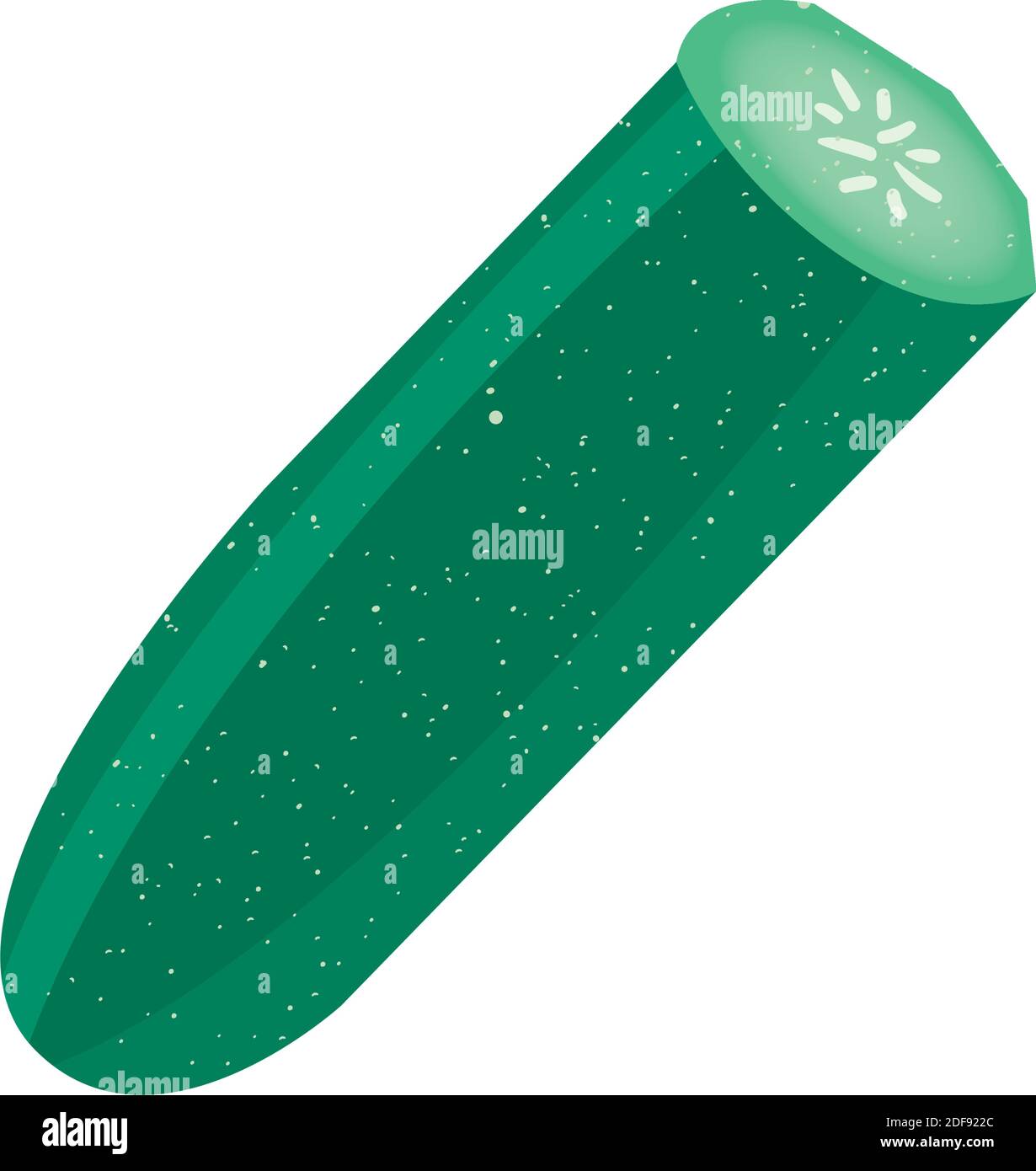 cucumber vegetable design, food organic and healthy theme Vector ...