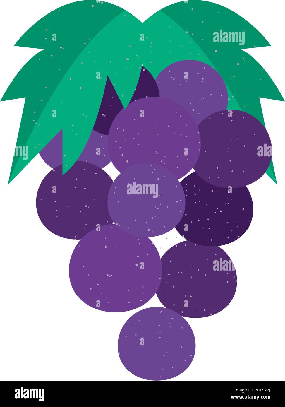 grapes fruit design of healthy organic food theme Vector illustration Stock Vector Image & Art ...