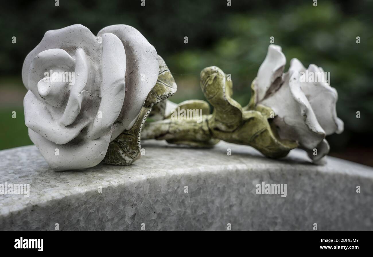 Stone Tombstone And Roses High Resolution Stock Photography and Images ...