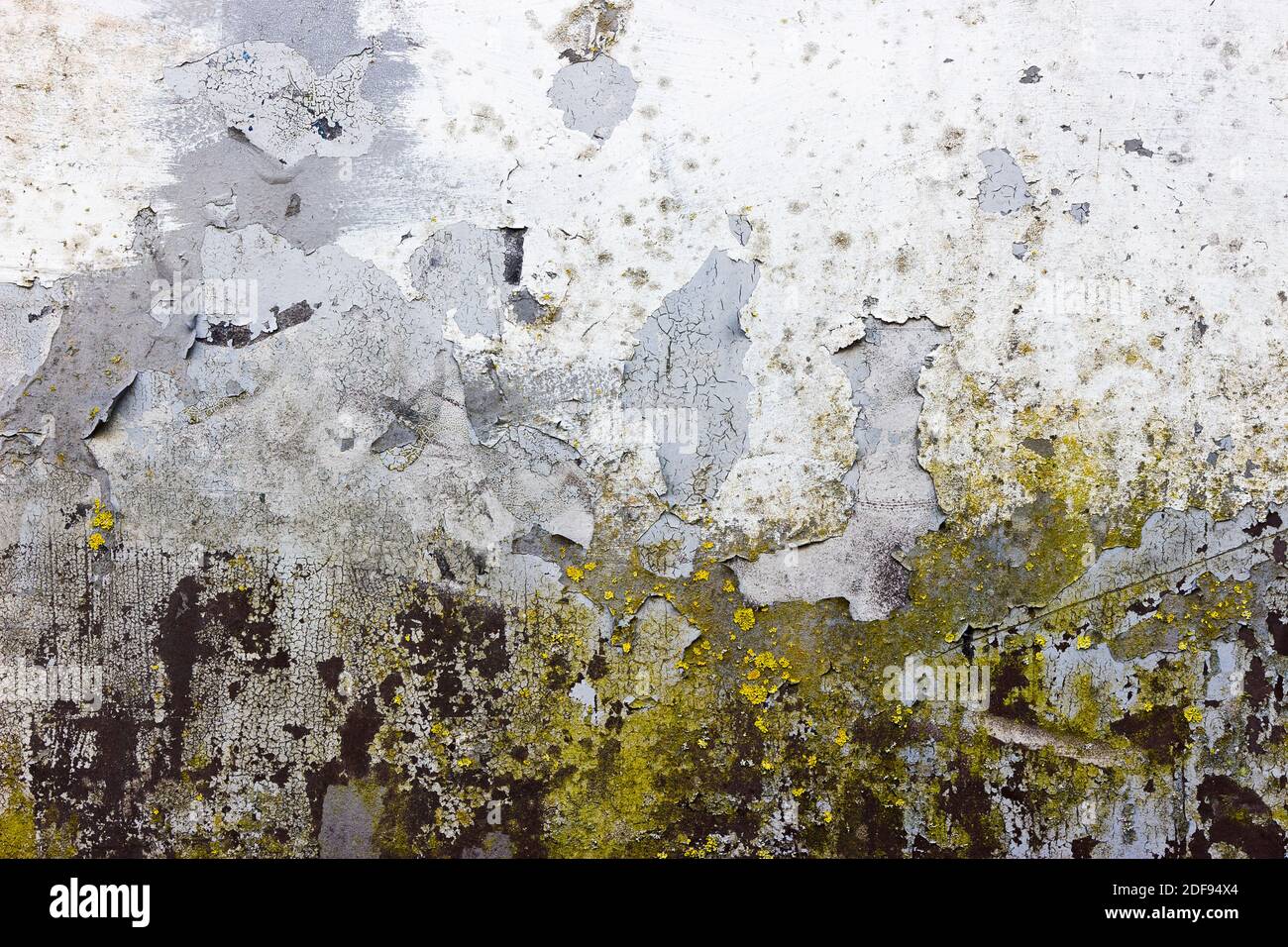 Painted metal texture hi-res stock photography and images - Alamy