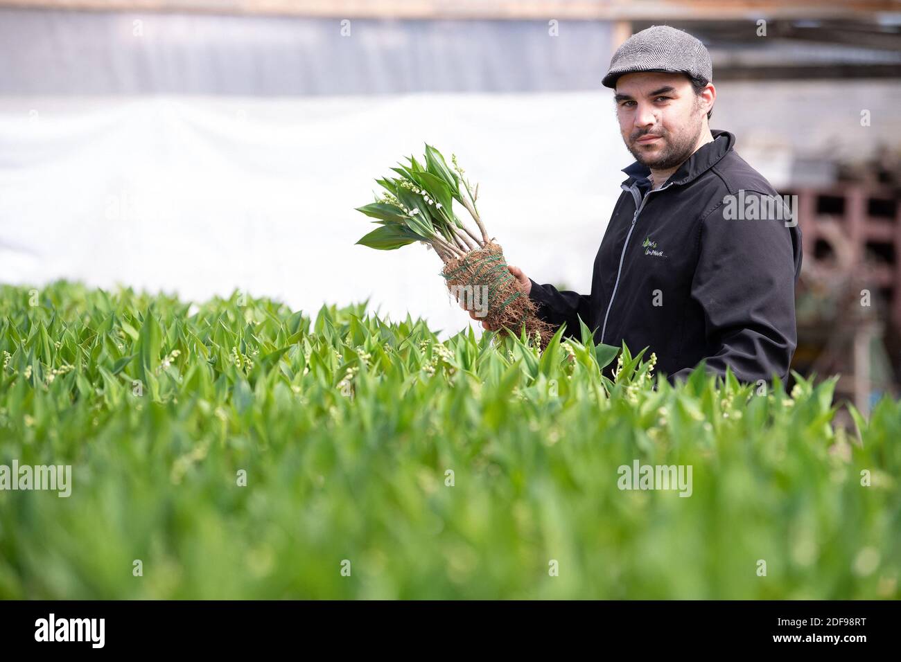 France may 1st muguet hi-res stock photography and images - Alamy
