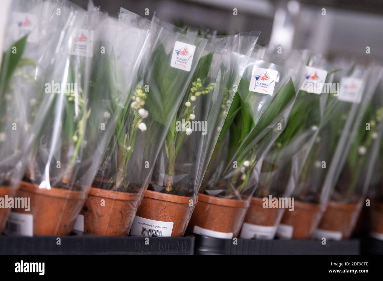 France may 1st muguet hi-res stock photography and images - Alamy