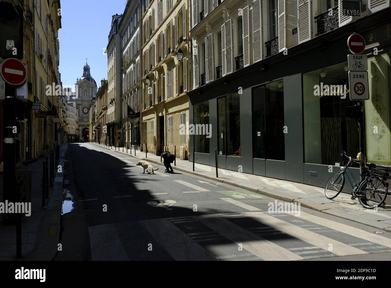 Dog pooping hi-res stock photography and images - Alamy