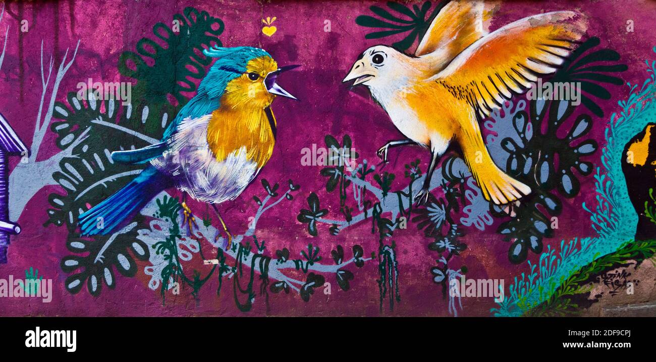 WALL MURALS is an important part of the local culture - OAXACA, MEXICO ...