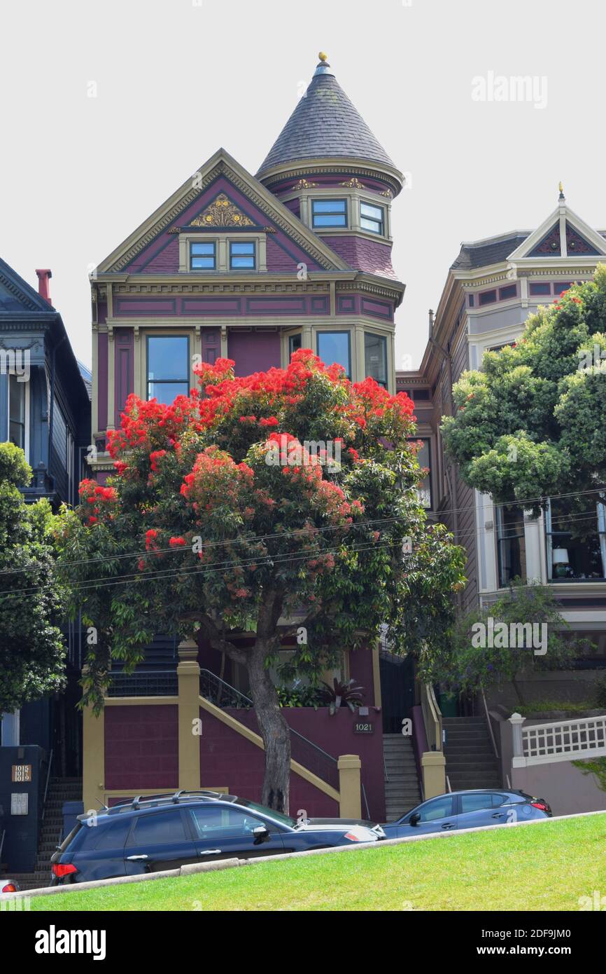 Alamo Square, San Francisco, CA Stock Photo - Alamy