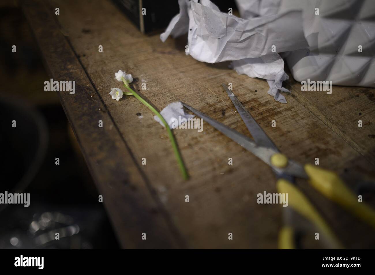 Report on a florist (Maison DESCHAMPS) prepares pots of the traditional ...
