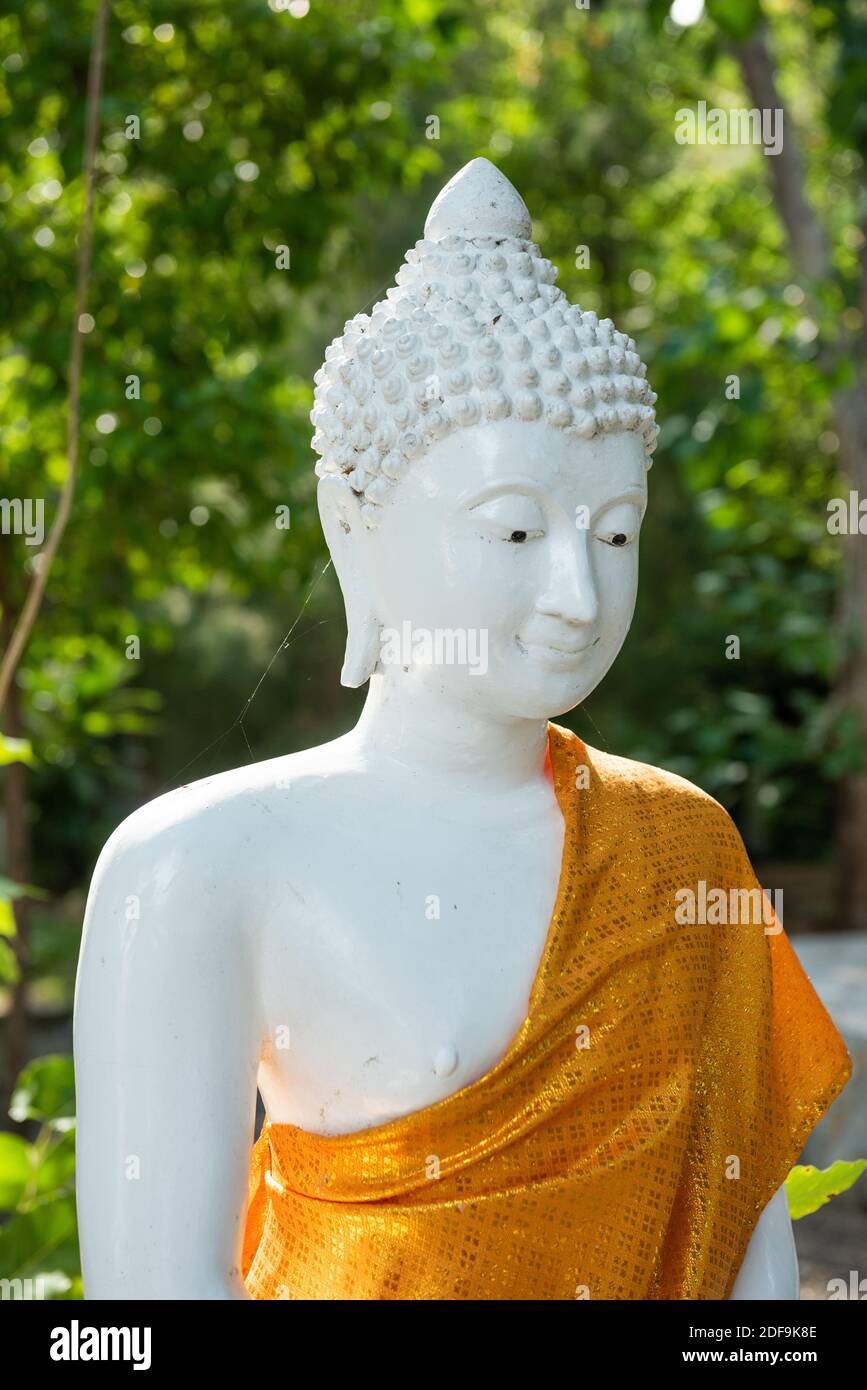 white Buddha statue with golden tunic Stock Photo - Alamy