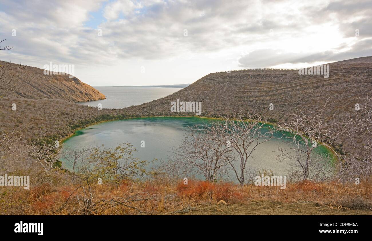 Darwin Lake on Isabela Island in the Galapagos in Early Evening Stock ...