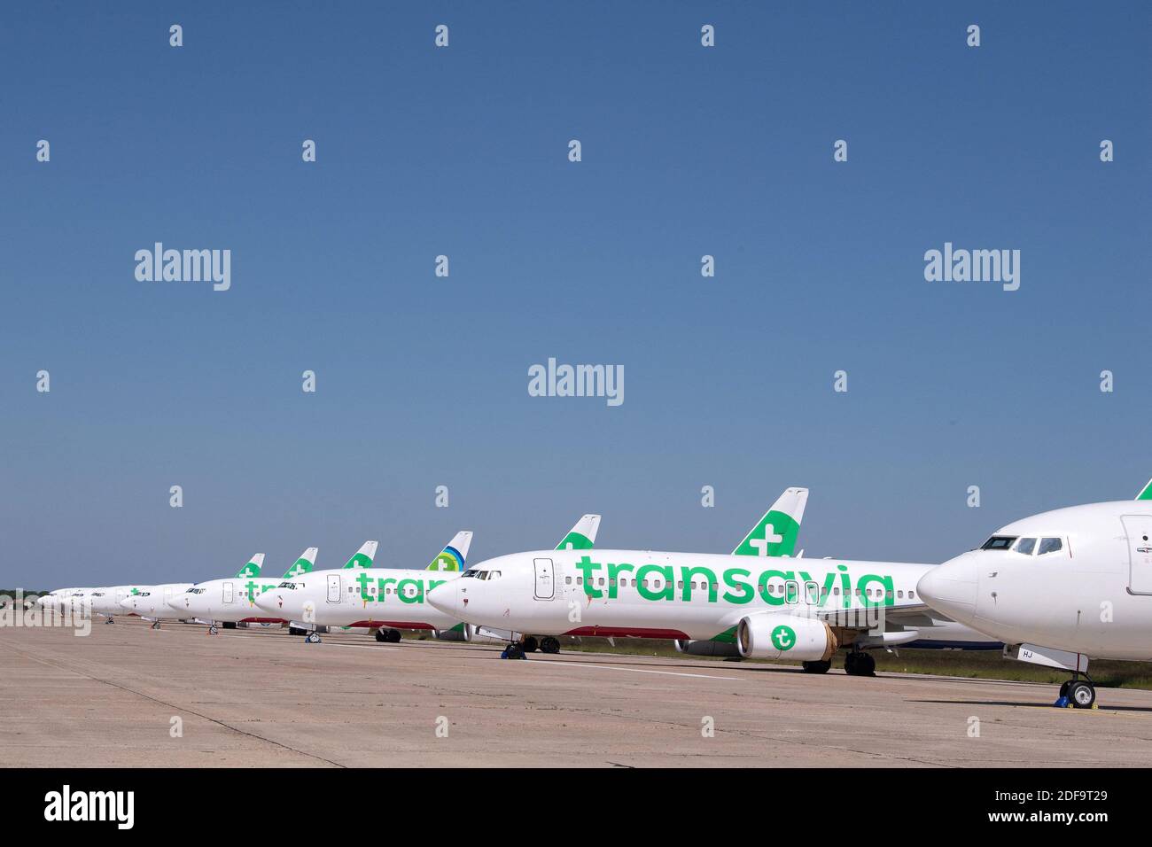 Aircrafts of Transavia Airlines company are parked on the tarmac at ...