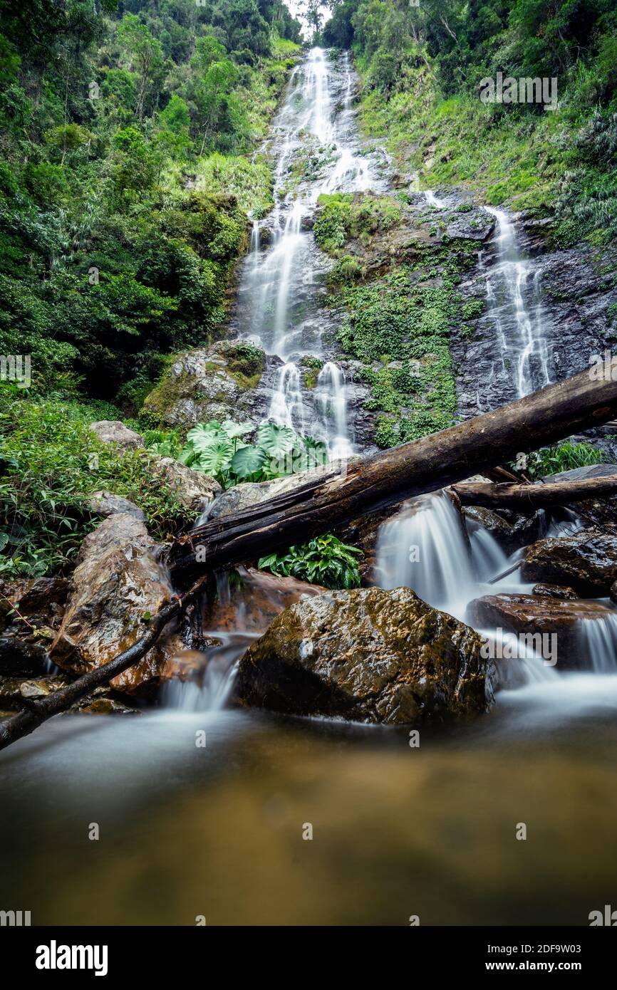 Fallen tree trunk at Langganan Waterfall, Poring Stock Photo - Alamy