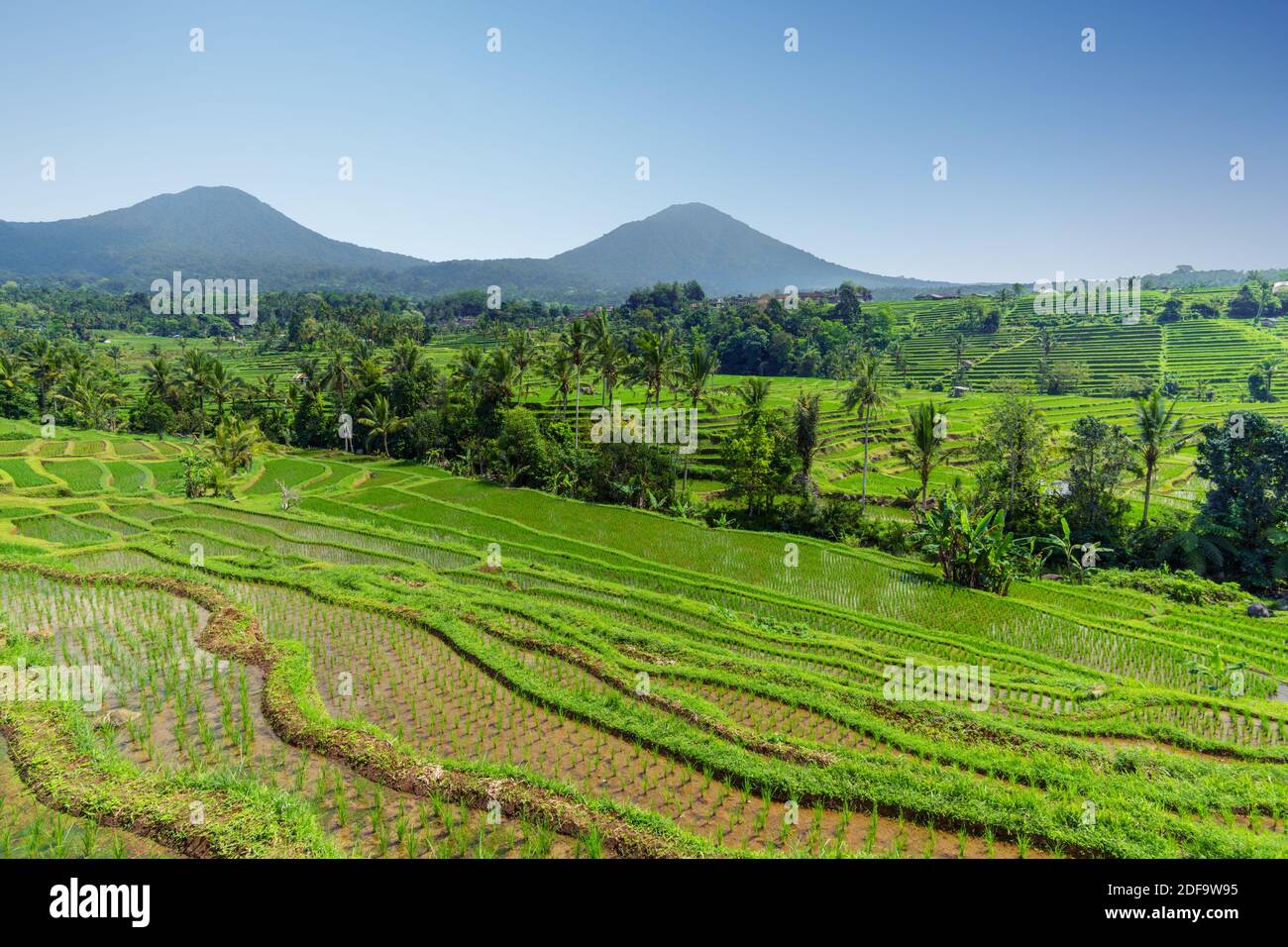 Subak bali unesco hi-res stock photography and images - Alamy