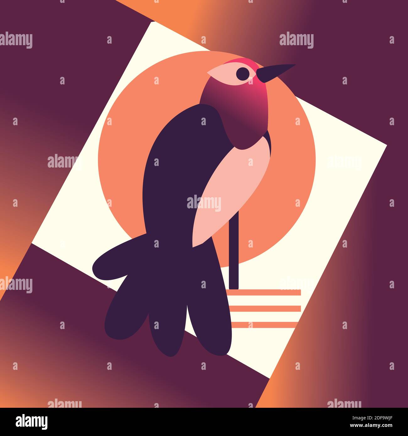 bird in square gradient design, Animal feather predator wildlife fight ...