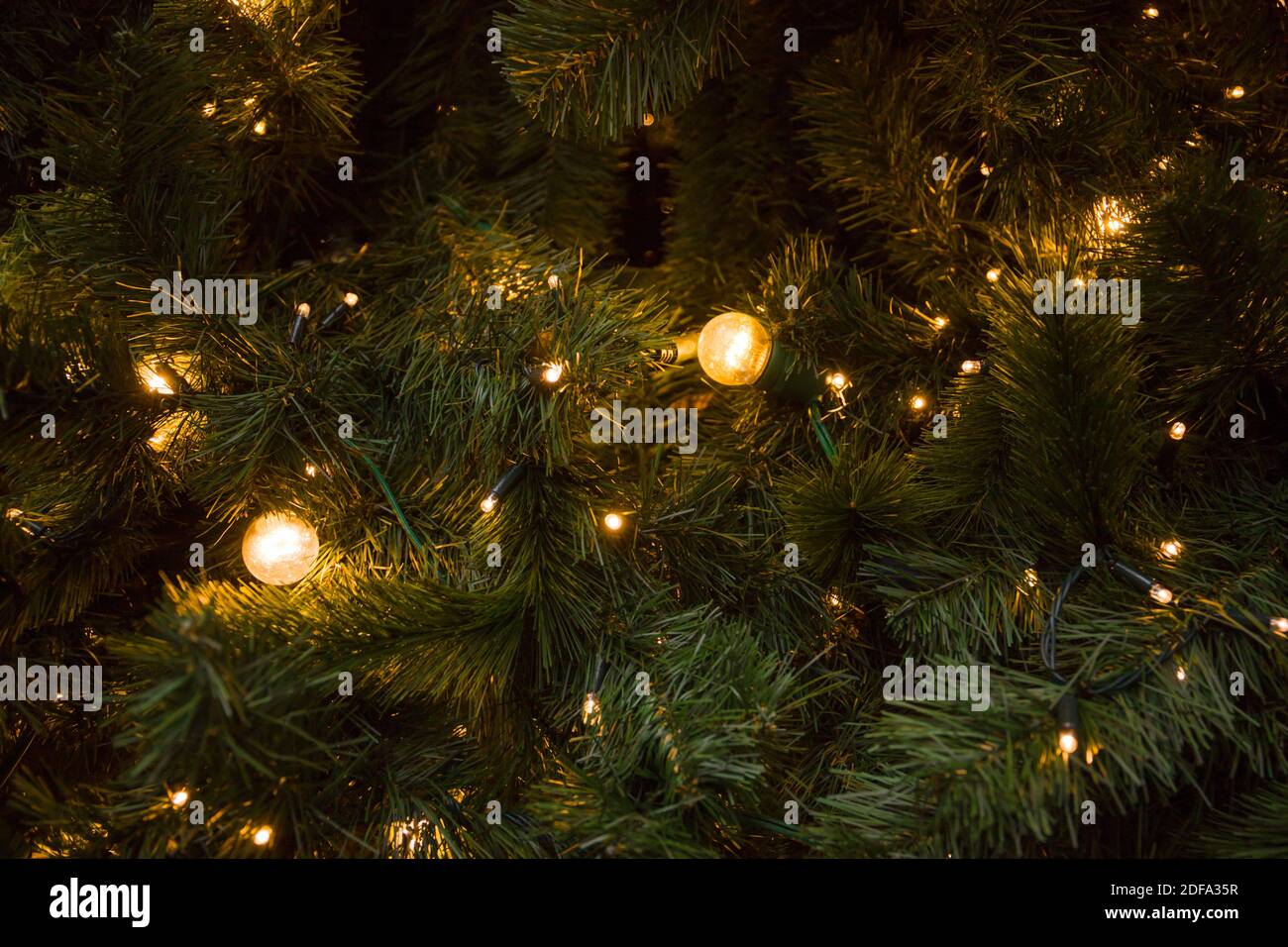 Christmas tree background texture Stock Photo - Alamy