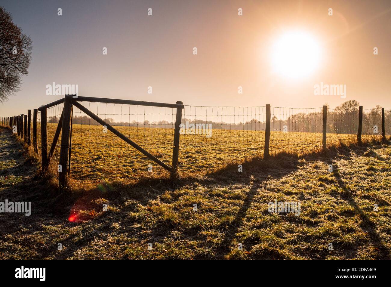 a net-fenced field and the ring of the sun Stock Photo - Alamy