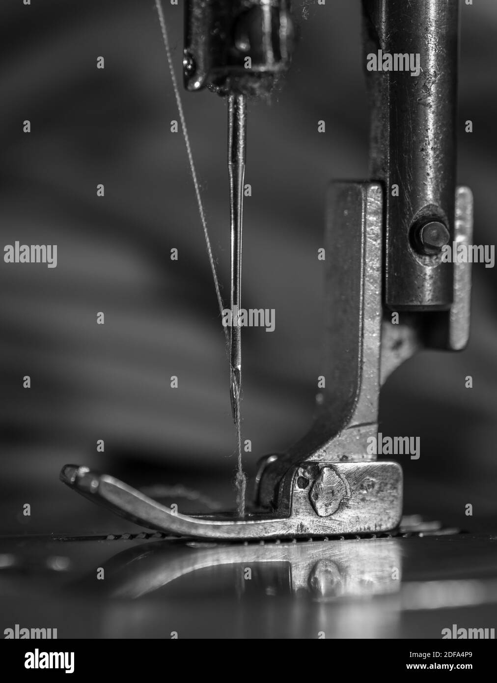 Vertical stitch hi-res stock photography and images - Alamy