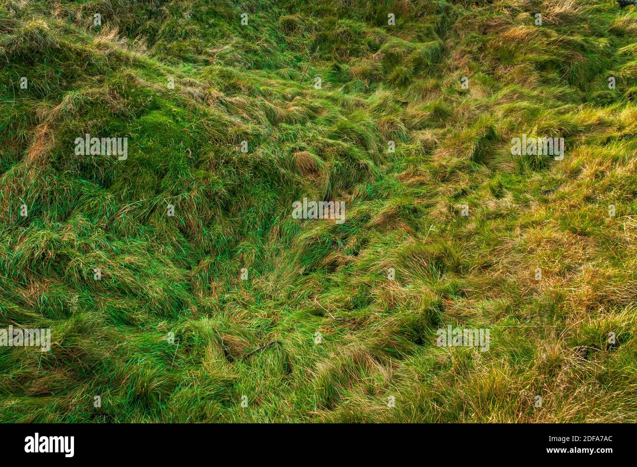 Sinkhole doline karst hi-res stock photography and images - Alamy