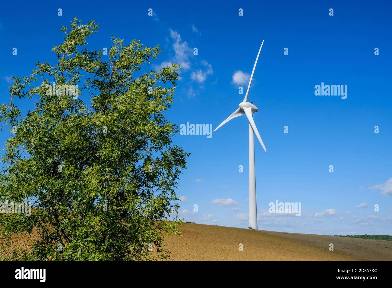 Wind turbine behind a tree. Illustration of wind farms in Lauragais ...